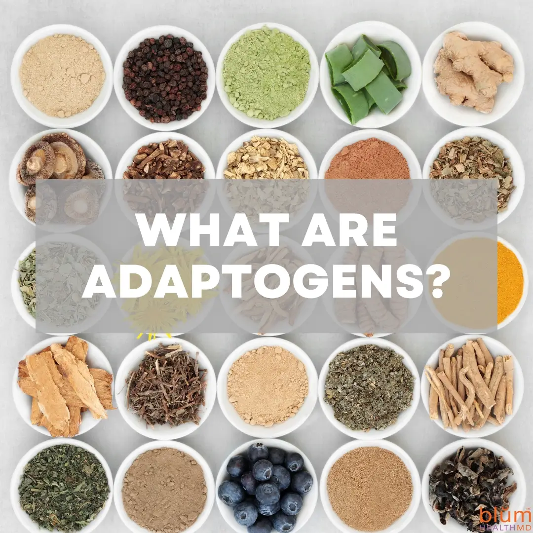 What are Adaptogens? - Blum Center for Health